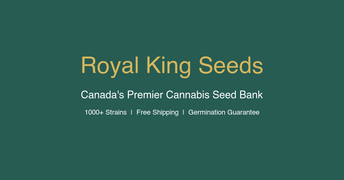 Top 10 Exotic Cannabis Strains 2026 | Royal King Seeds